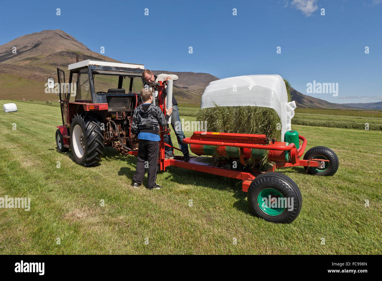 Hay making haymaking hi-res stock photography and images - Alamy