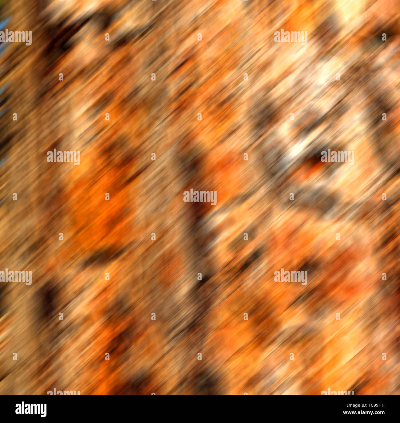 barck in the abstract close up of a tree color and texture Stock Photo ...