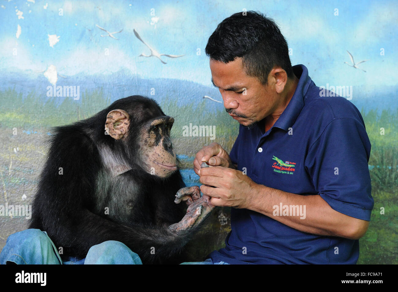 Samut prakarn crocodile farm hi-res stock photography and images - Alamy