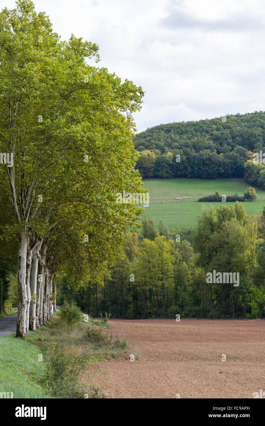 Colors of french countryside hi-res stock photography and images - Alamy