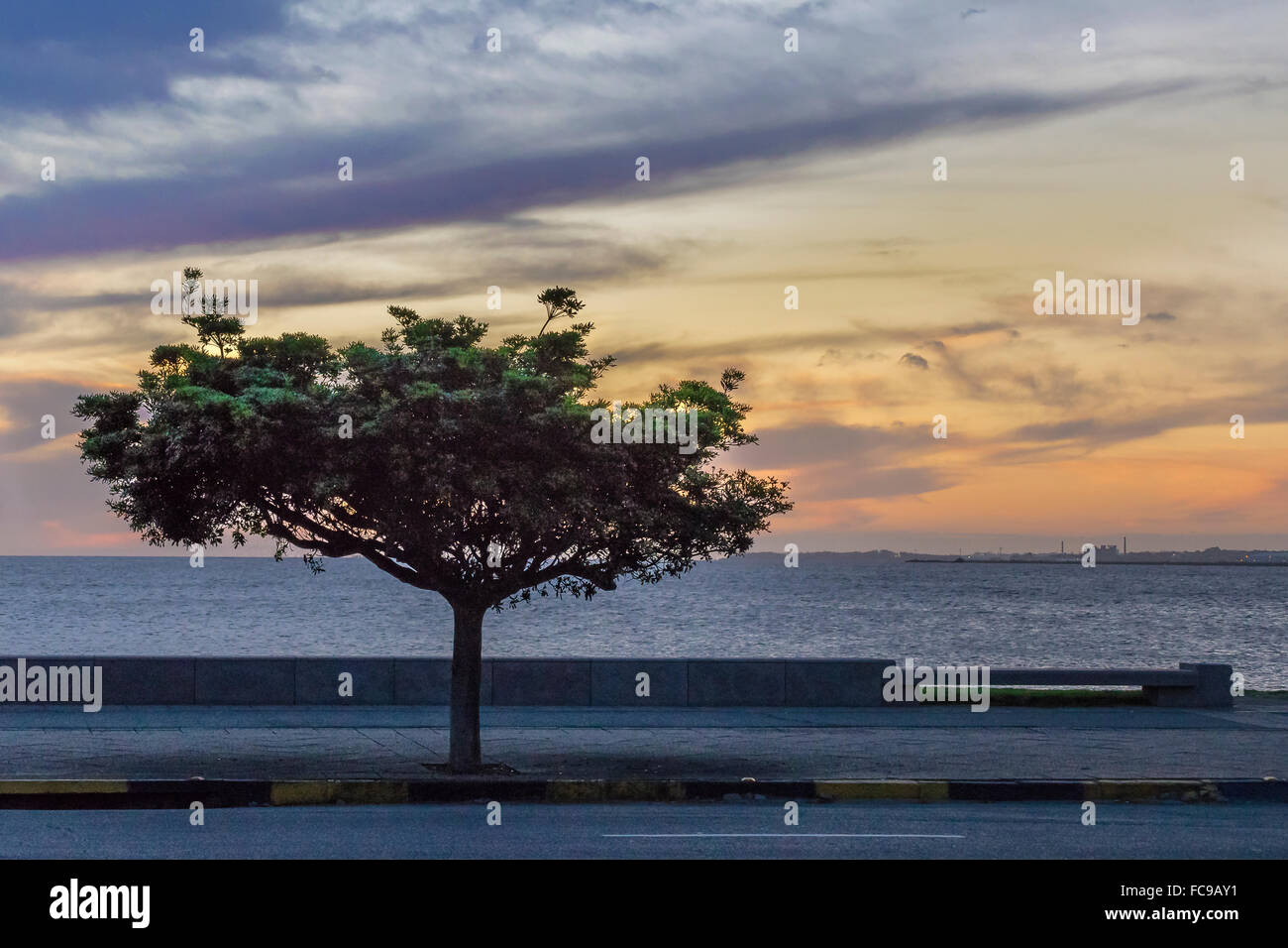 Beautiful nature sunset scene at the coast and boardwalk of Montevideo ...