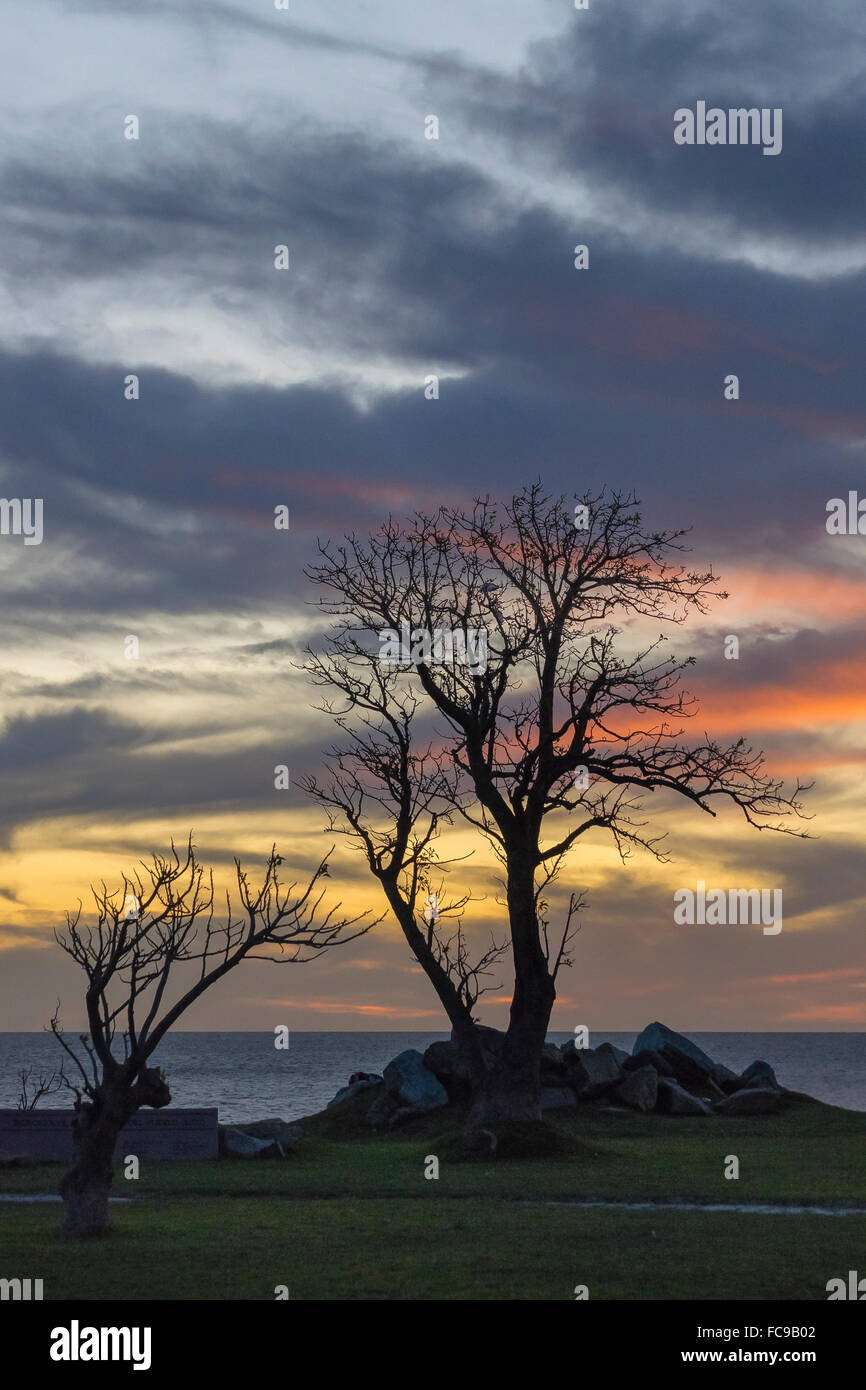 Beautiful nature sunset scene at the coast and boardwalk of Montevideo ...