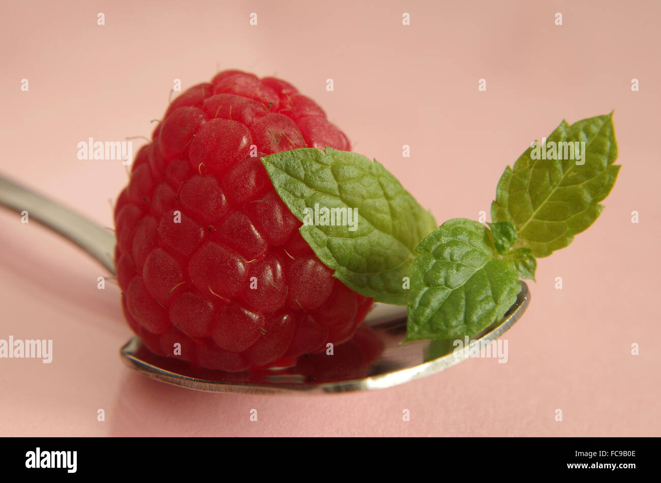 Minzblaetter hi-res stock photography and images - Alamy