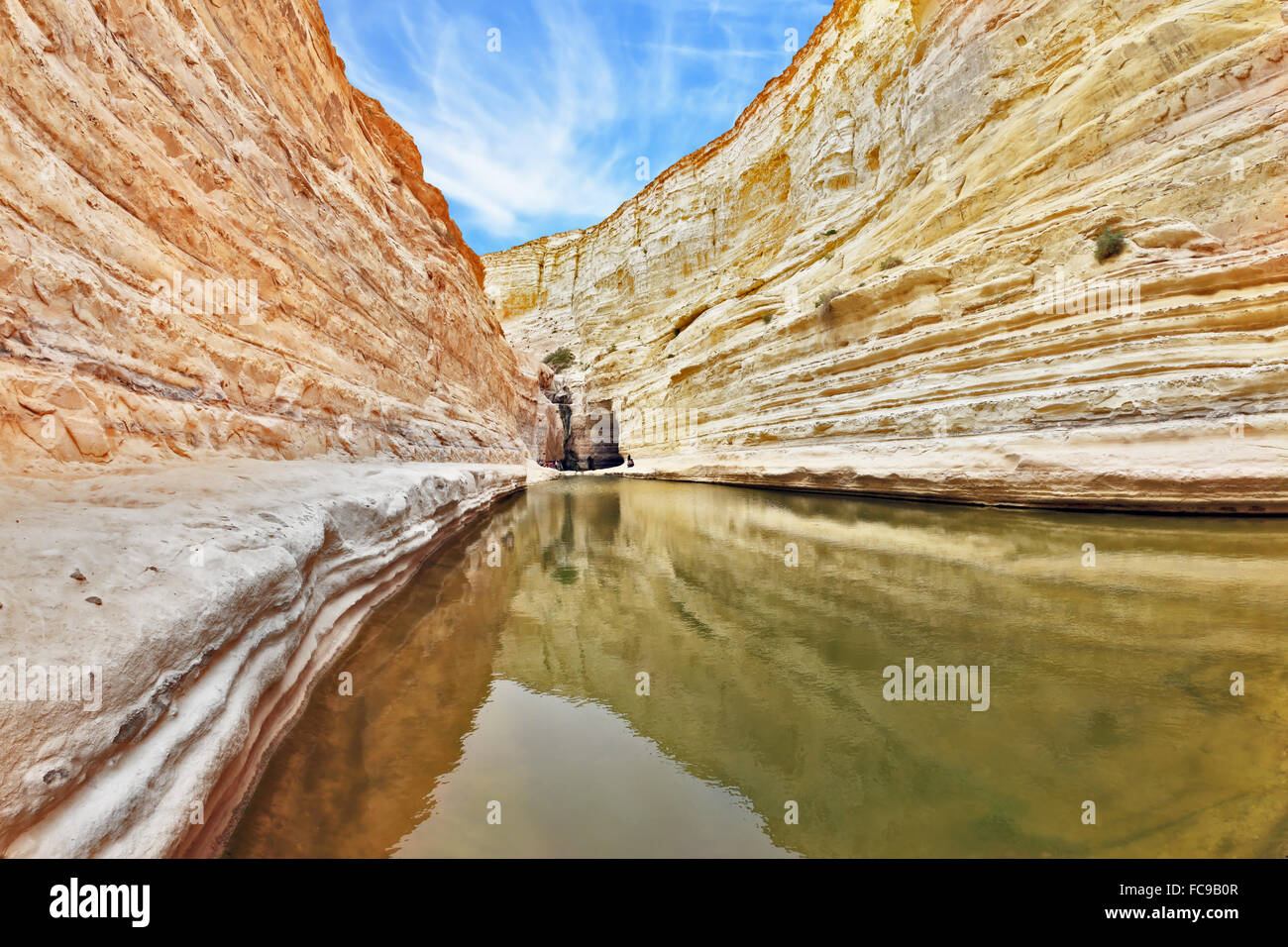 Unique canyon in Israel - Ein Avdat Stock Photo - Alamy