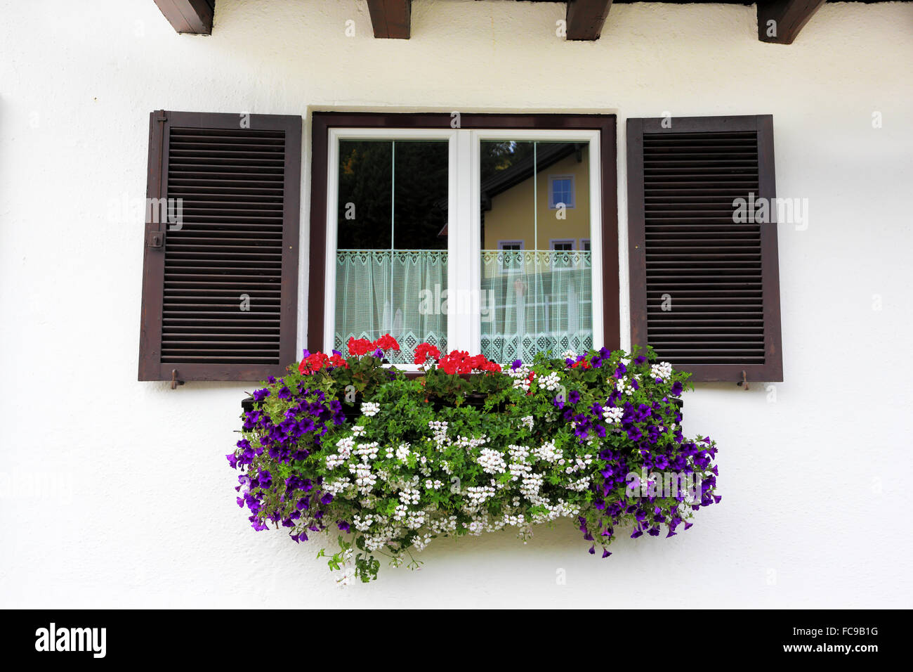 Picturesque window with flower pots Stock Photo - Alamy