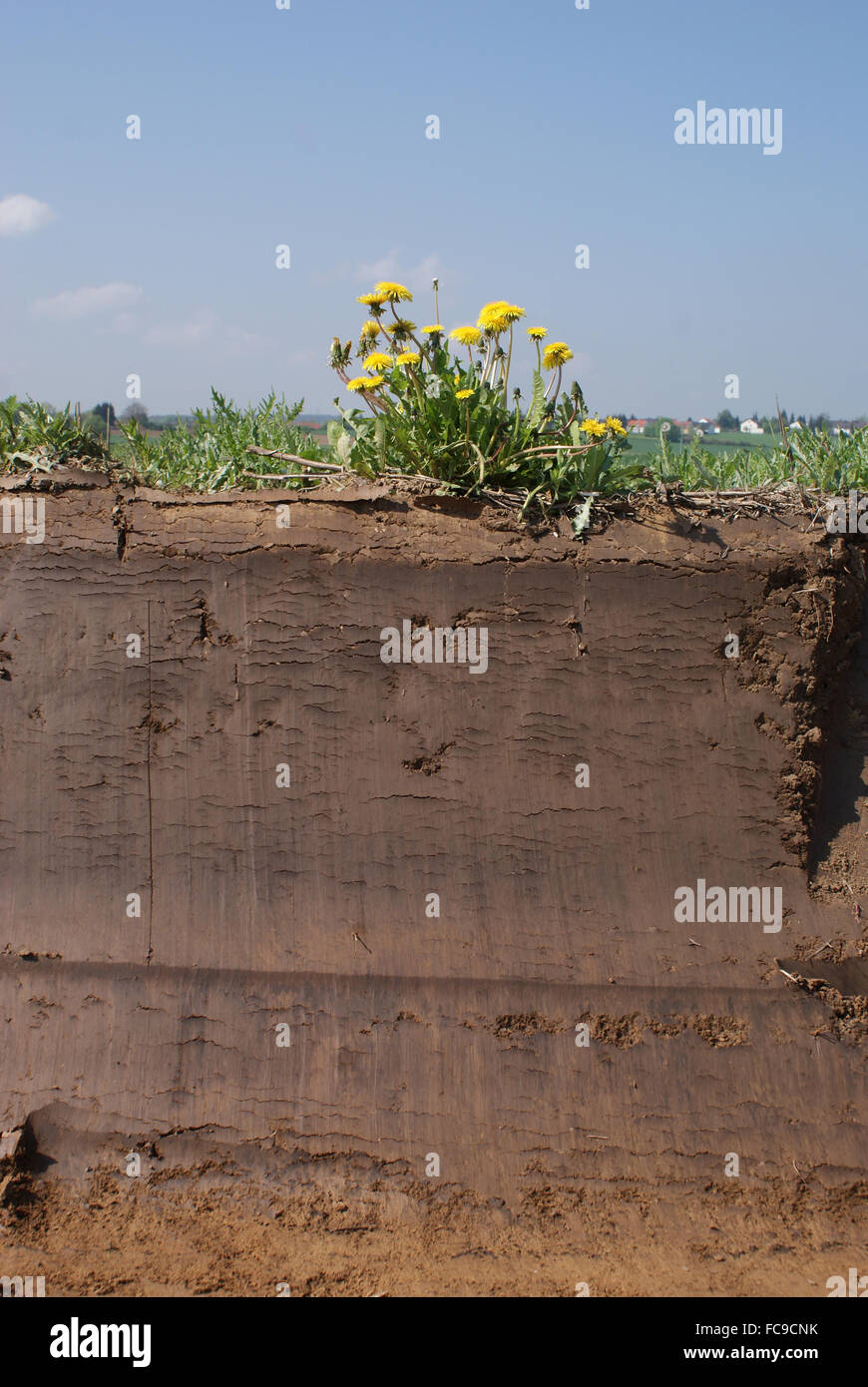 Loam soil hi-res stock photography and images - Alamy