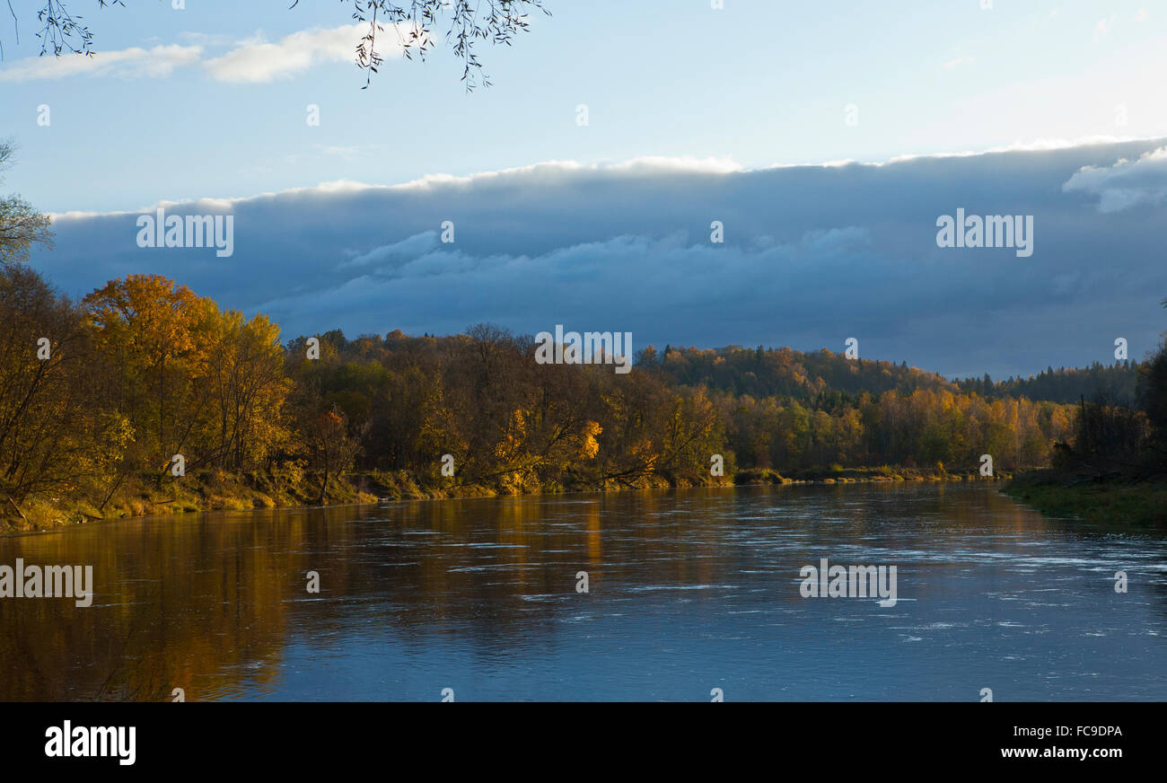 Gauja river in Gauja National Park Latvia Stock Photo - Alamy