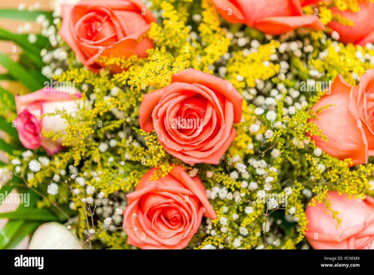 Nice roses in celebration concept Stock Photo - Alamy