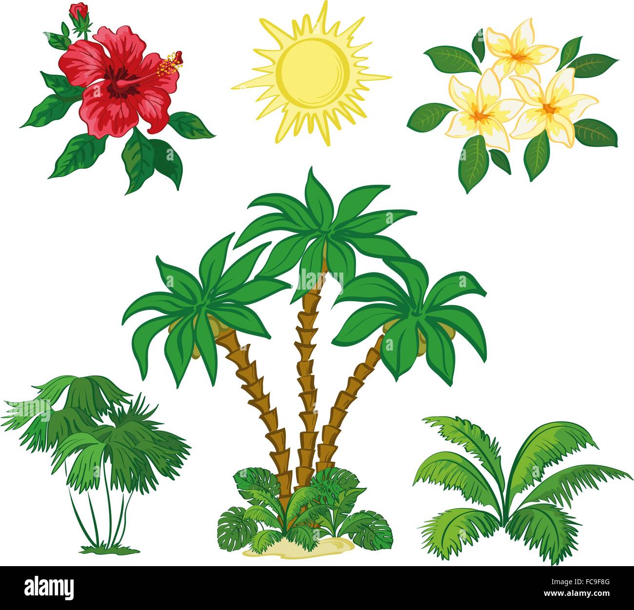 Grass leaf palm sun Stock Vector Images - Alamy