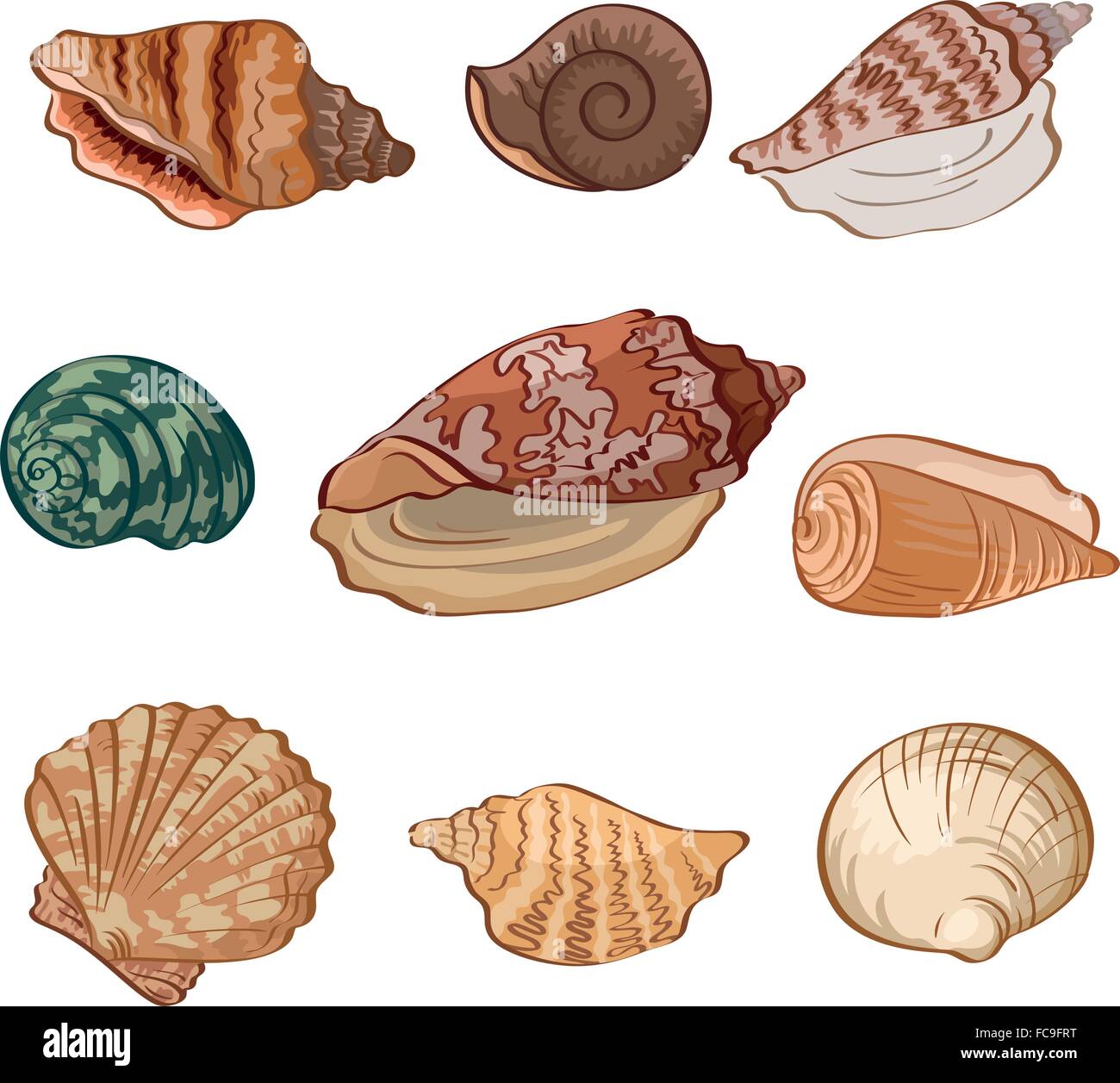 Cartoon seashells hi-res stock photography and images - Alamy