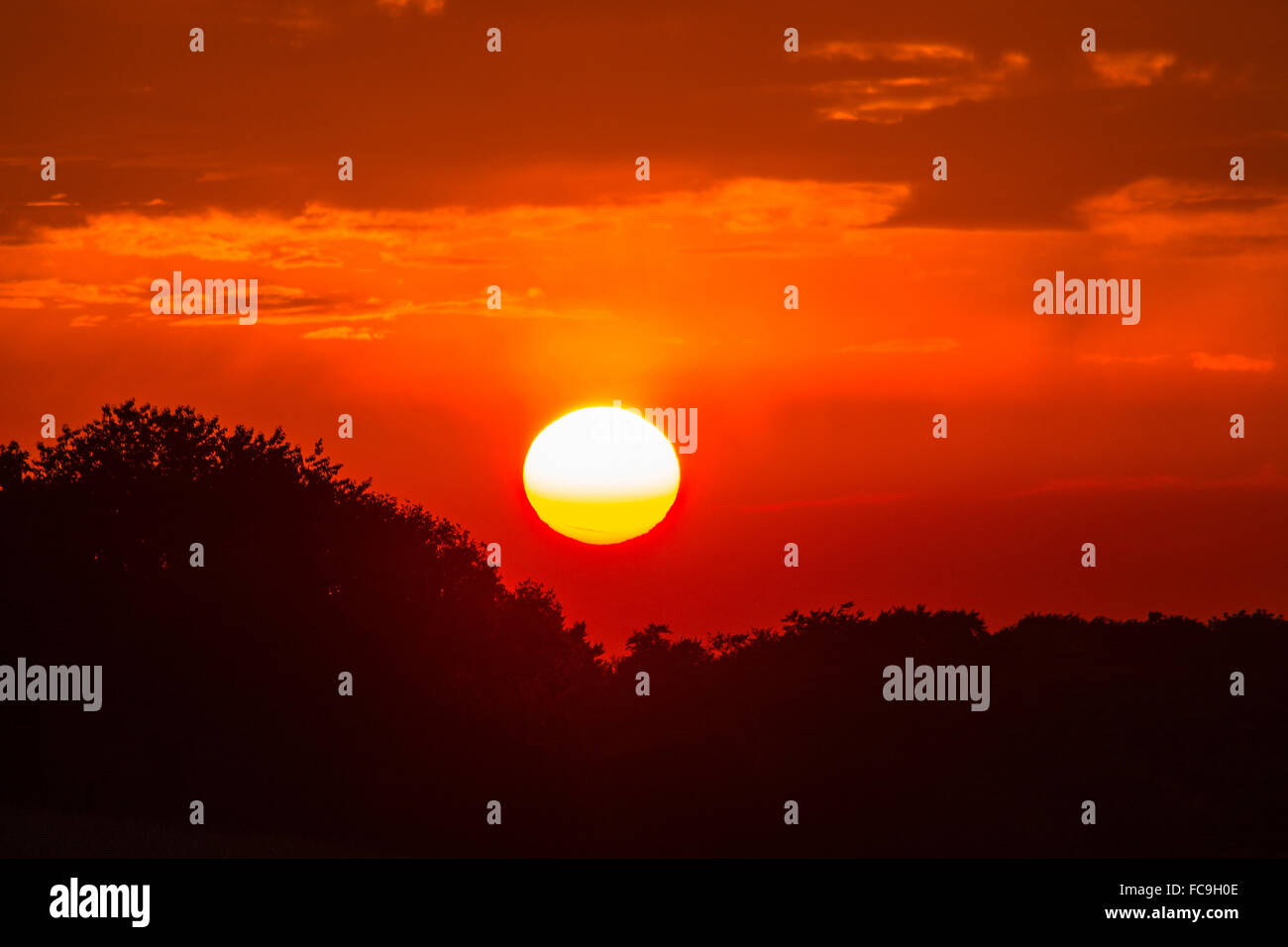 Evening sunlight glow hi-res stock photography and images - Alamy