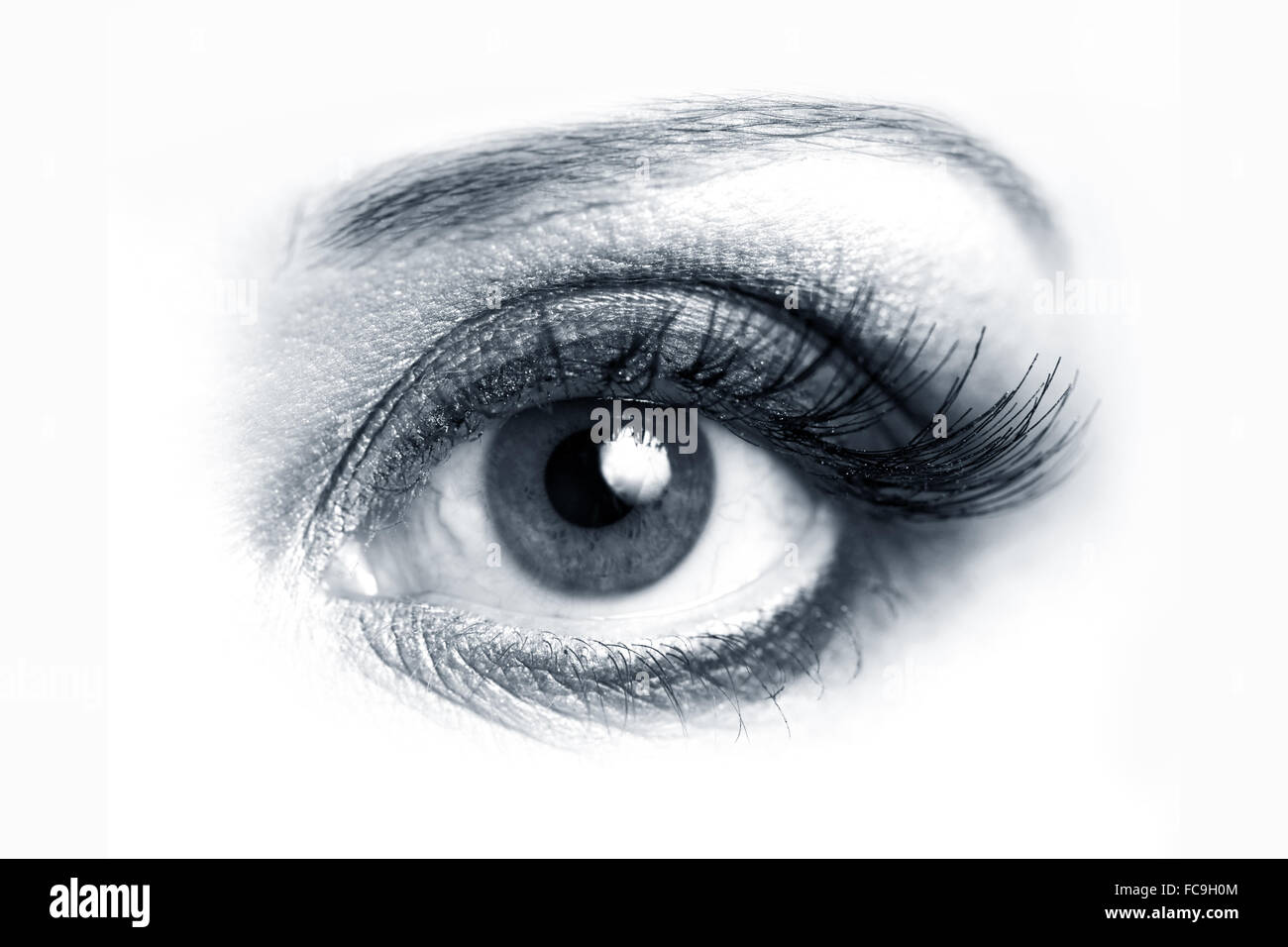 Open eye closeup Stock Photo - Alamy