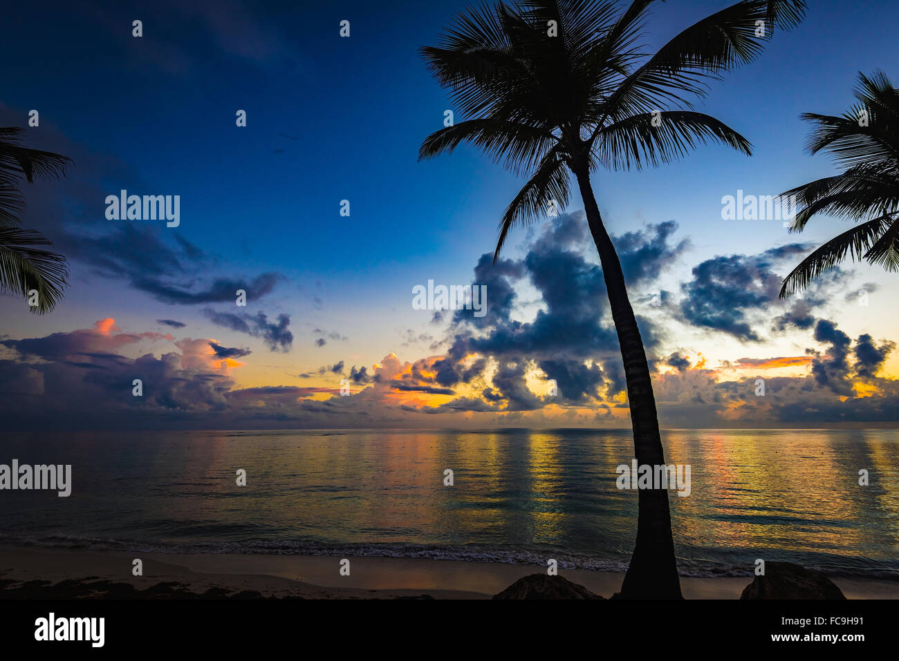 sunset silhouette of palm trees Stock Photo - Alamy