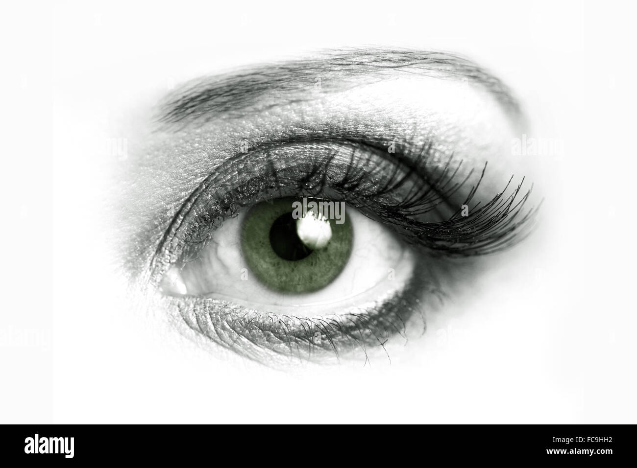 Open eye closeup Stock Photo - Alamy