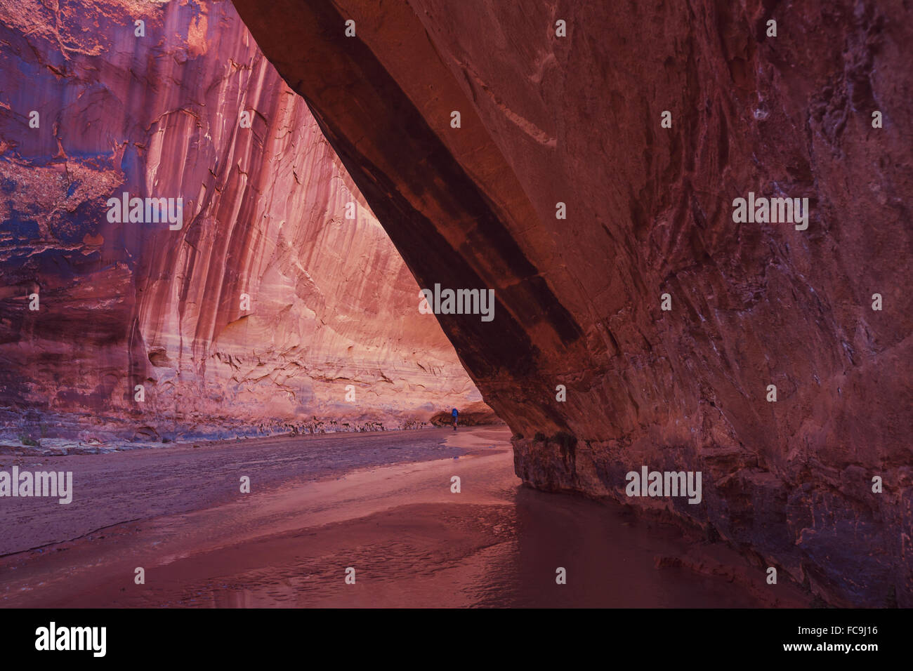 Hike in Coyote gulch Stock Photo - Alamy