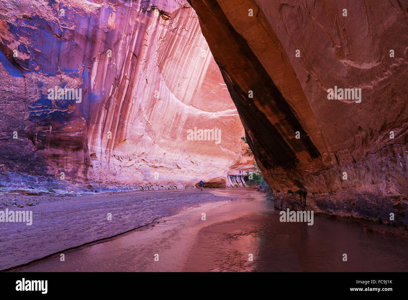 Coyote gulch hi-res stock photography and images - Alamy