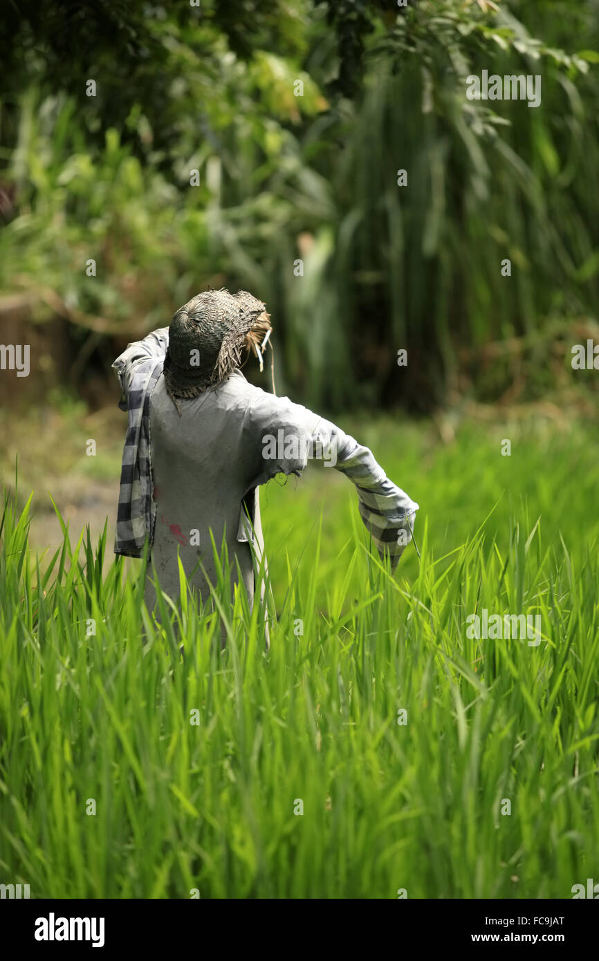 Scare hi-res stock photography and images - Alamy