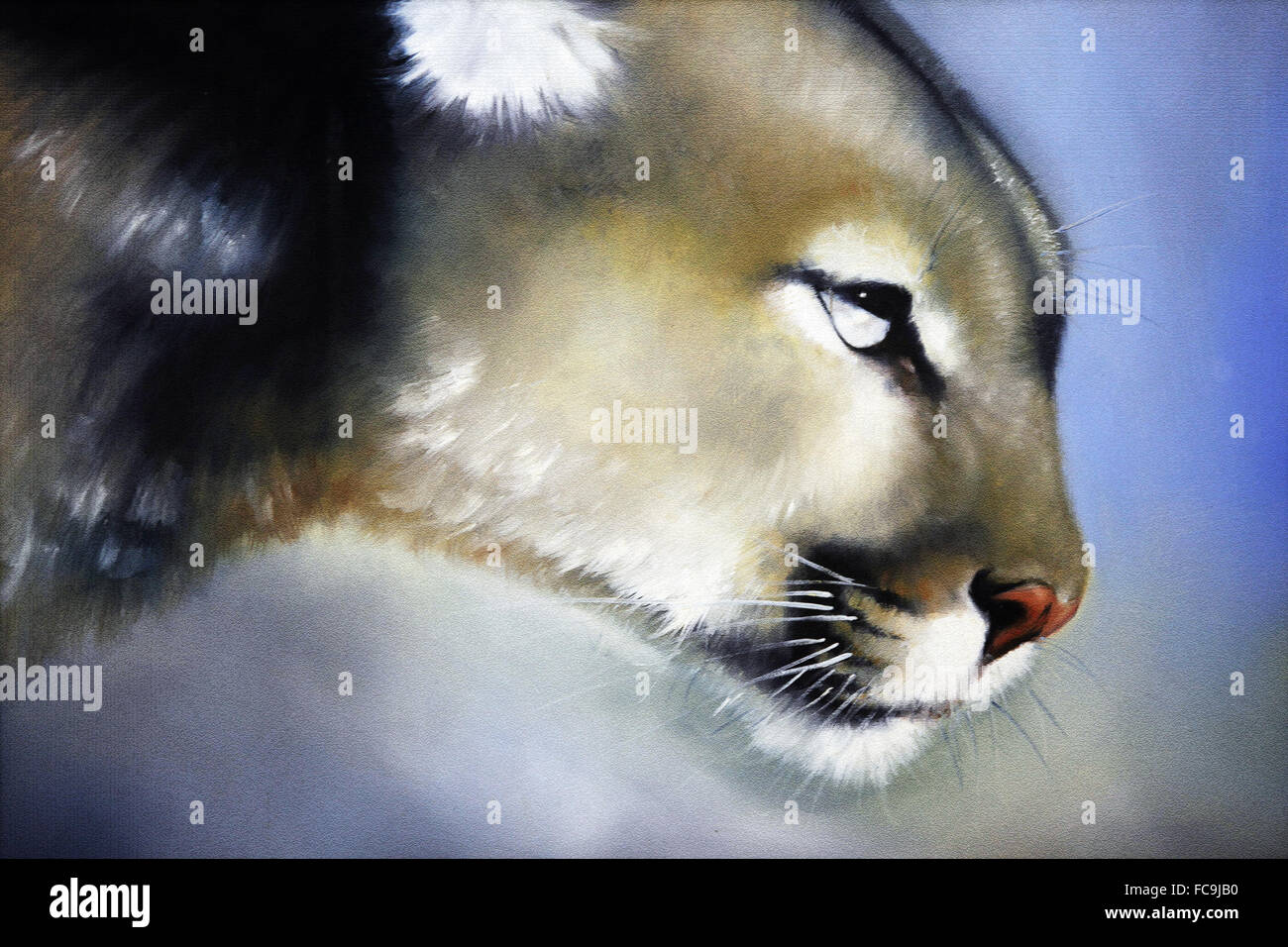 Panther head profile hi-res stock photography and images - Alamy