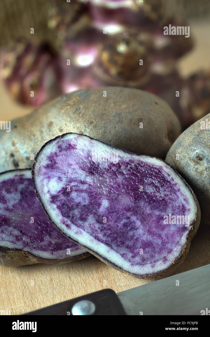 Congo blauer hi-res stock photography and images - Alamy