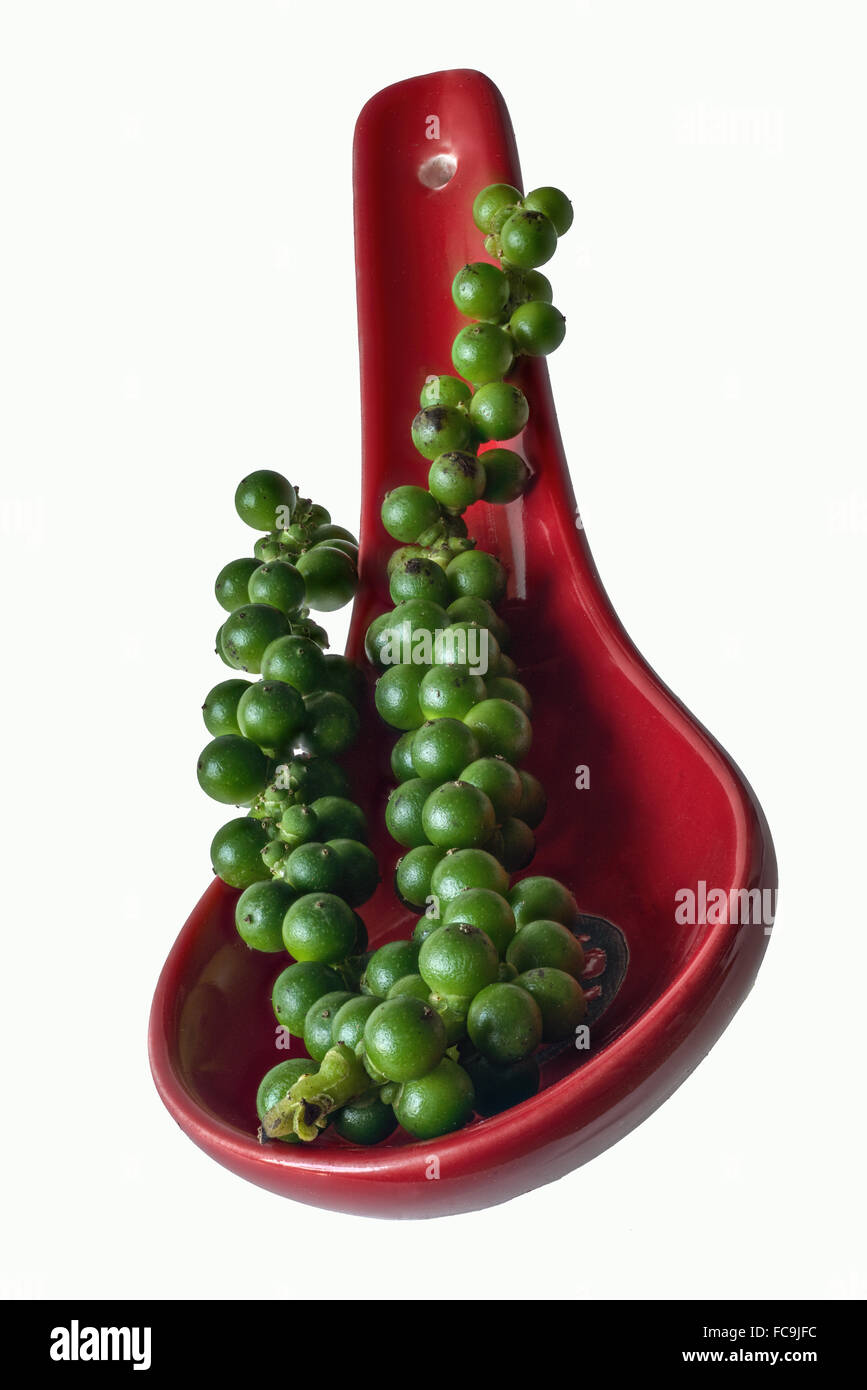 Green Pepper, Cut-Out Stock Photo - Alamy
