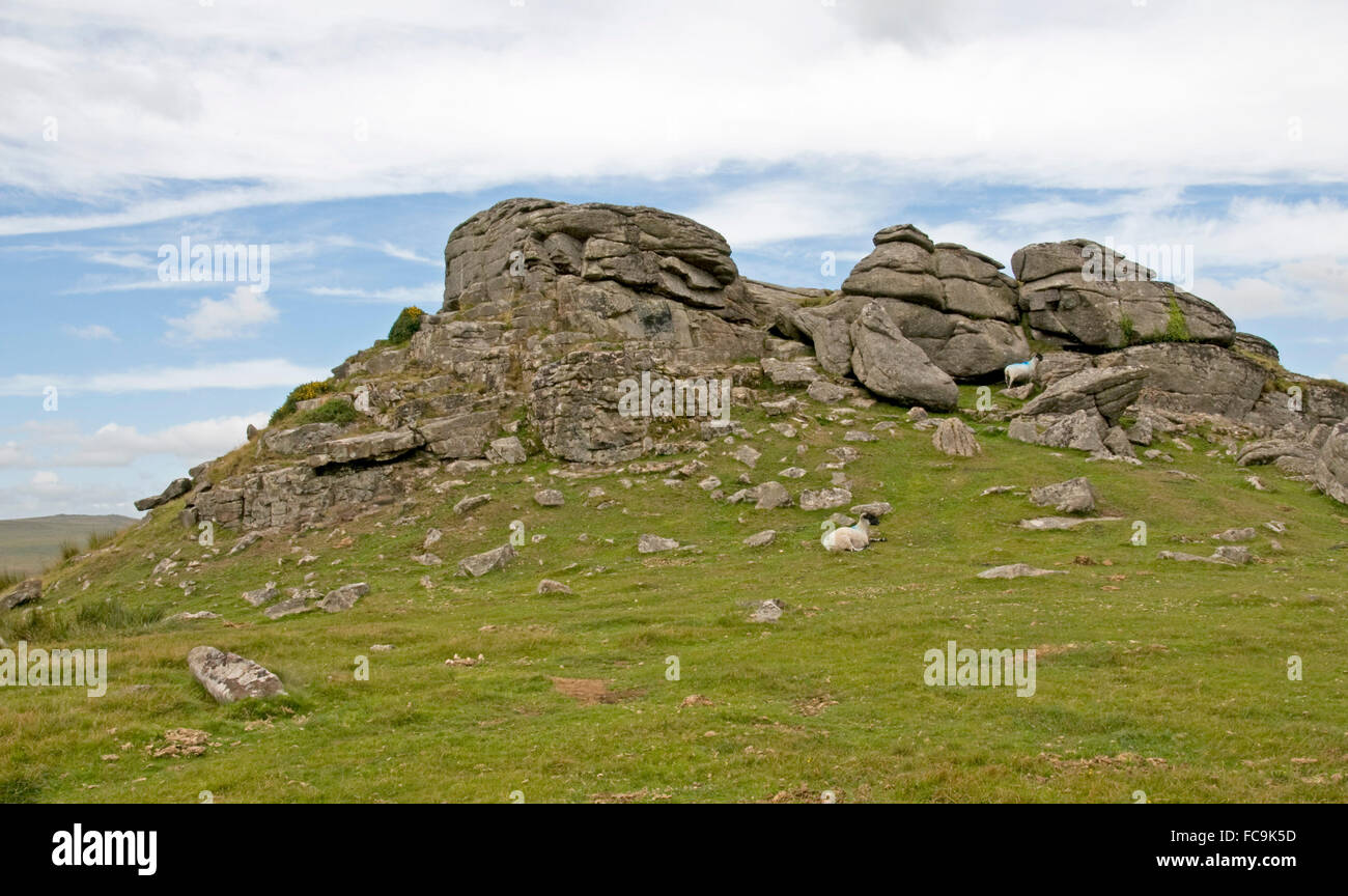 Kestor Rock on Chagford Common, Dartmoor Stock Photo - Alamy