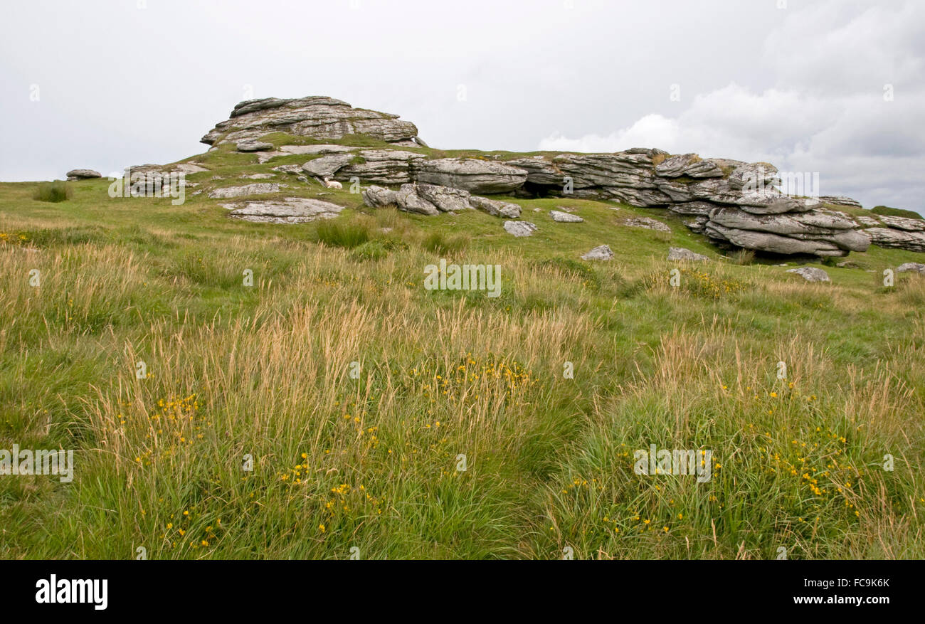 Middle Tor on Chagford Common, Dartmoor Stock Photo - Alamy