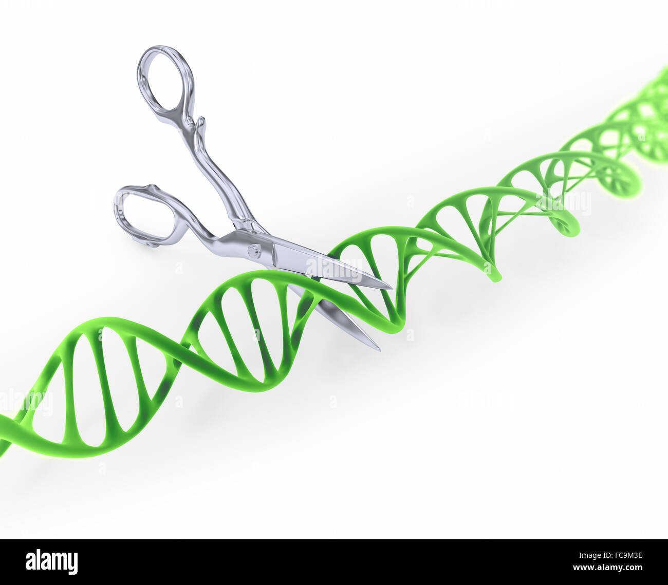 DNA strand cut with scissors - Gene editing conceptual illustration ...