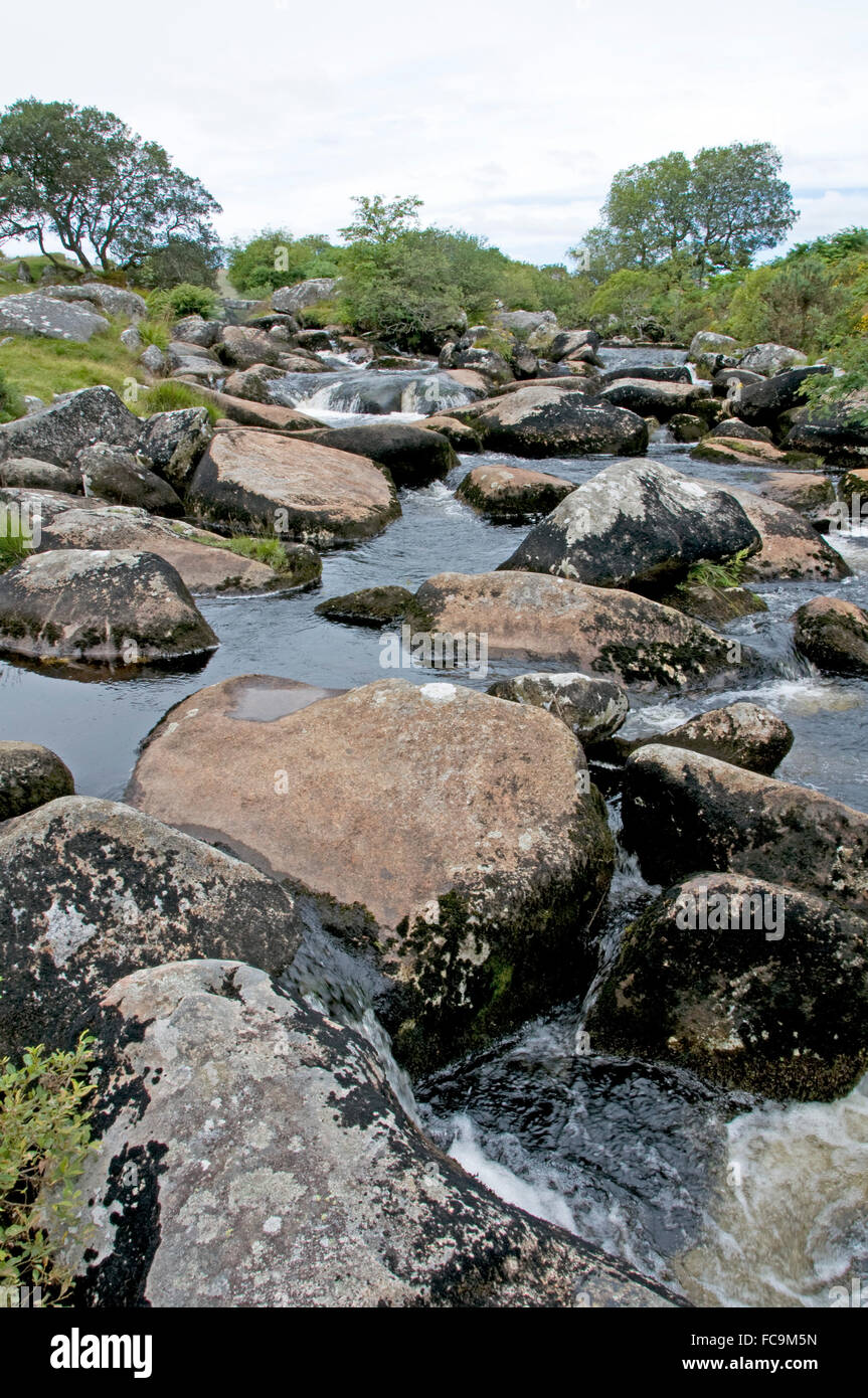 The North Teign River tumbles down off Chagford Common, Dartmoor, close ...