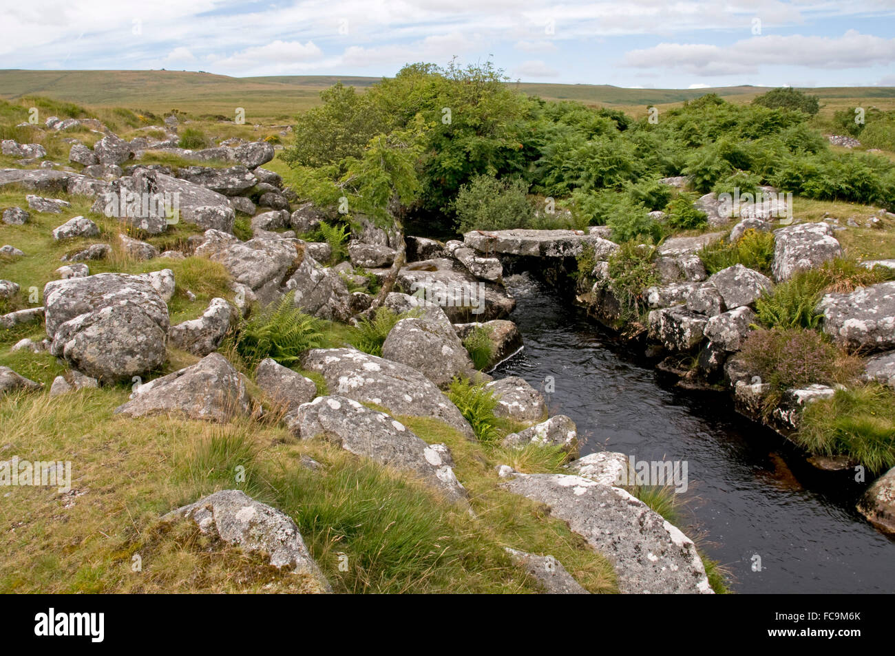 The North Teign River tumbles down off Chagford Common, Dartmoor, close ...