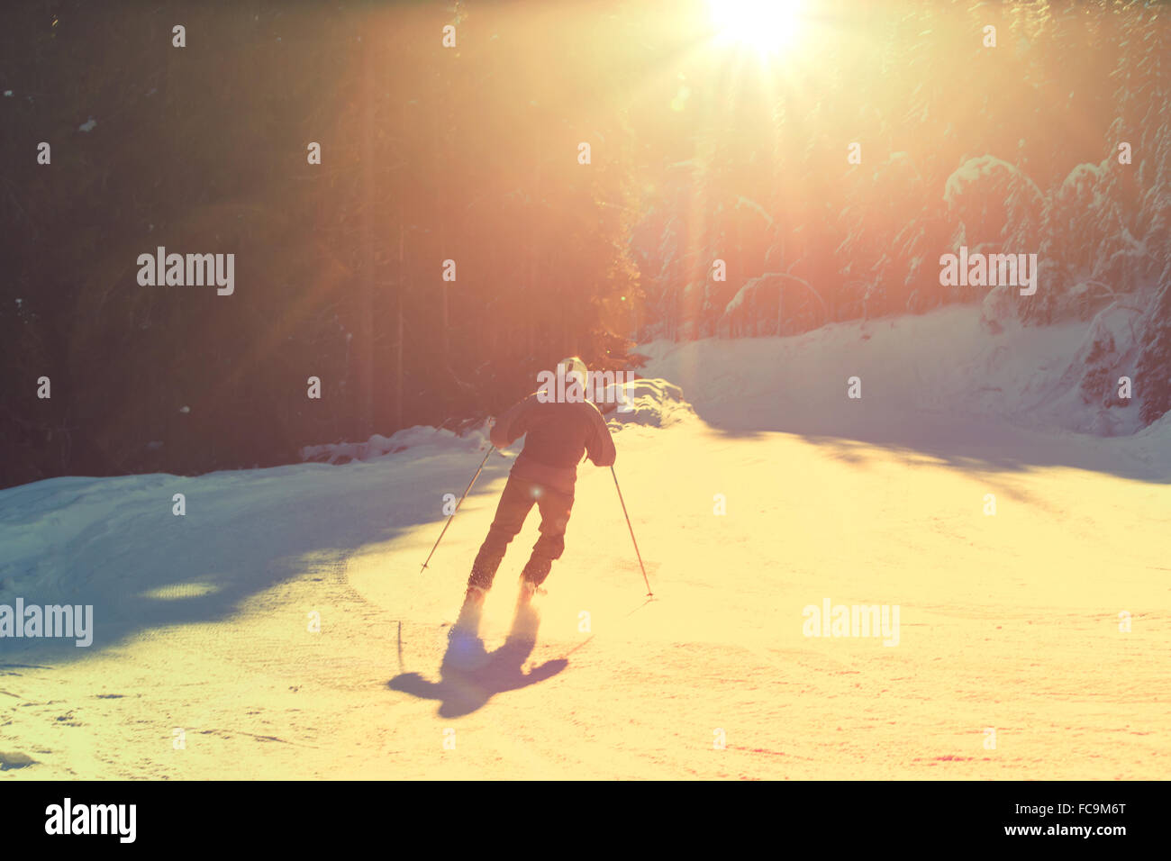 Expert skier hi-res stock photography and images - Alamy