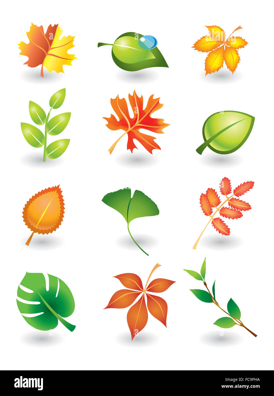 Vector leaves Stock Photo - Alamy