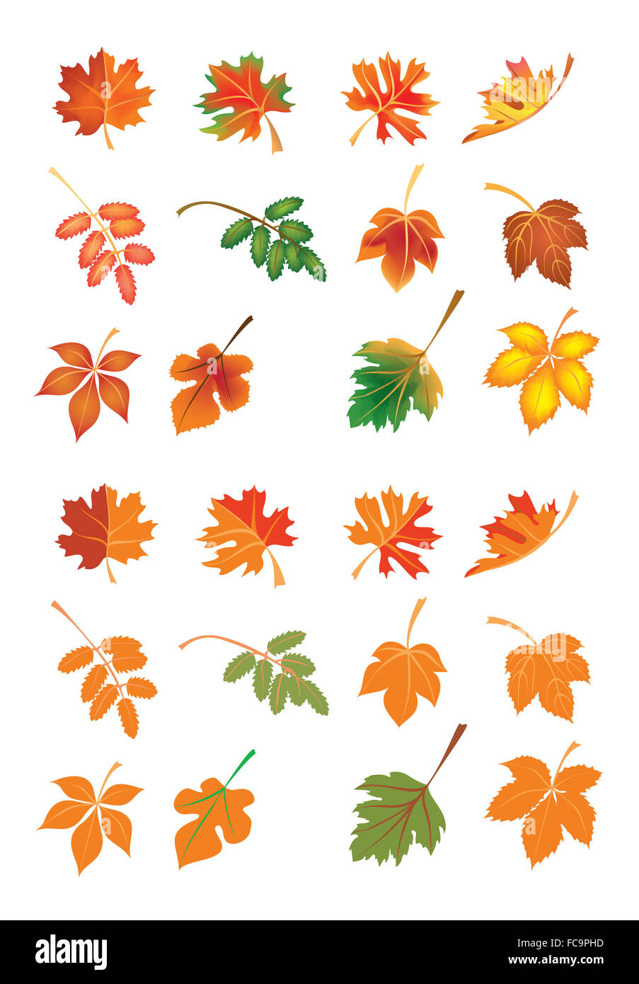 Rowan autumn color icon Cut Out Stock Images & Pictures - Alamy