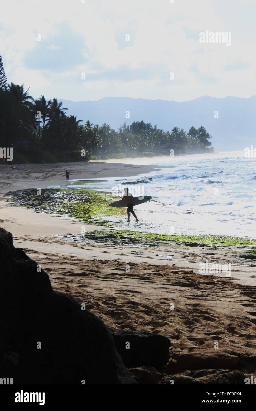 Hawaii North Shore Surfers Stock Photo - Alamy