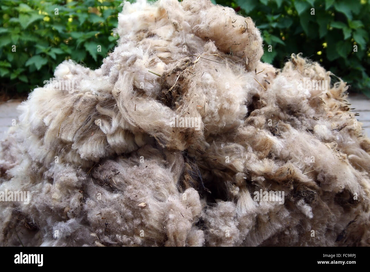 Rohzustand hi-res stock photography and images - Alamy