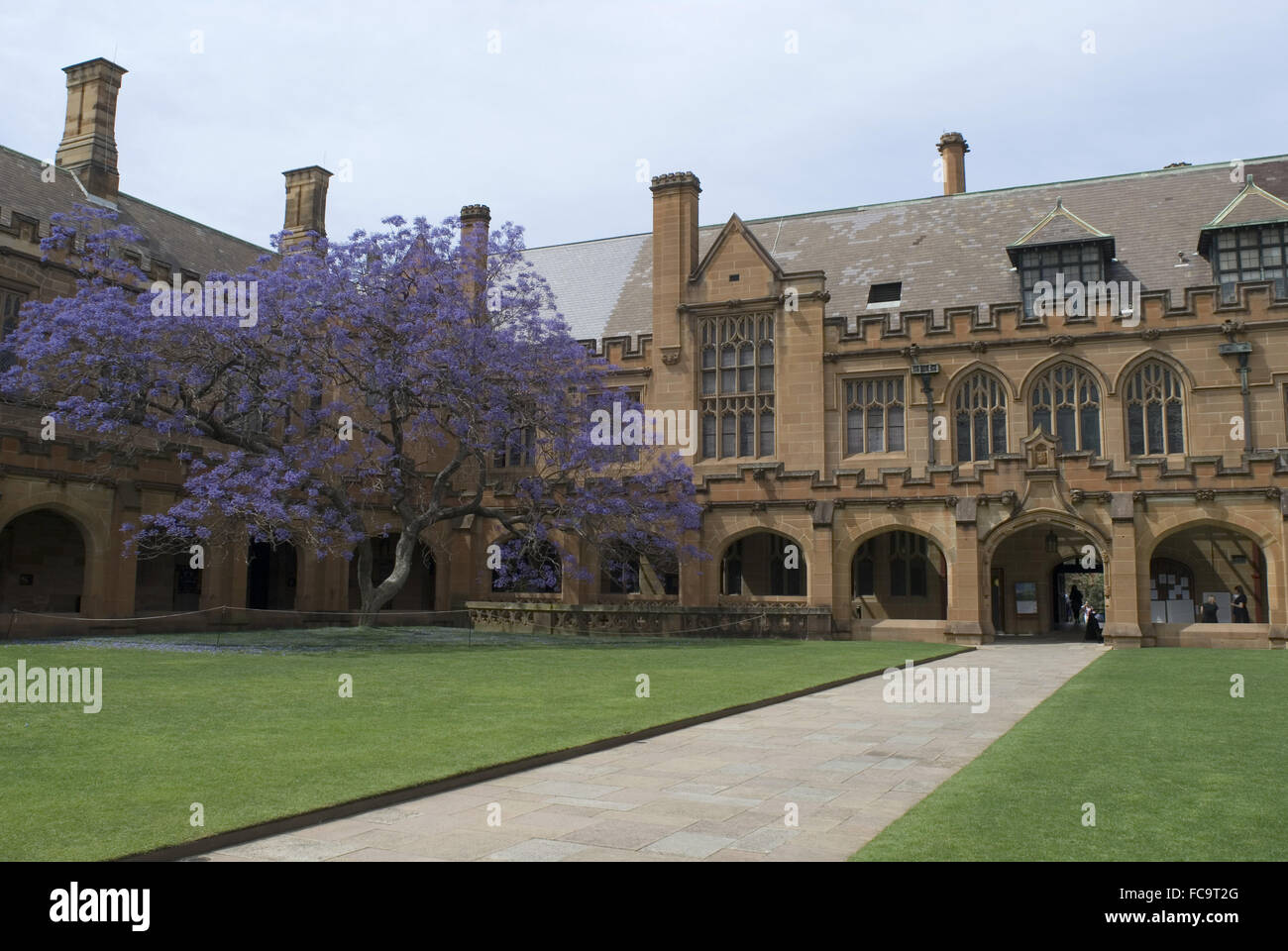 Quadrangle university hi-res stock photography and images - Alamy