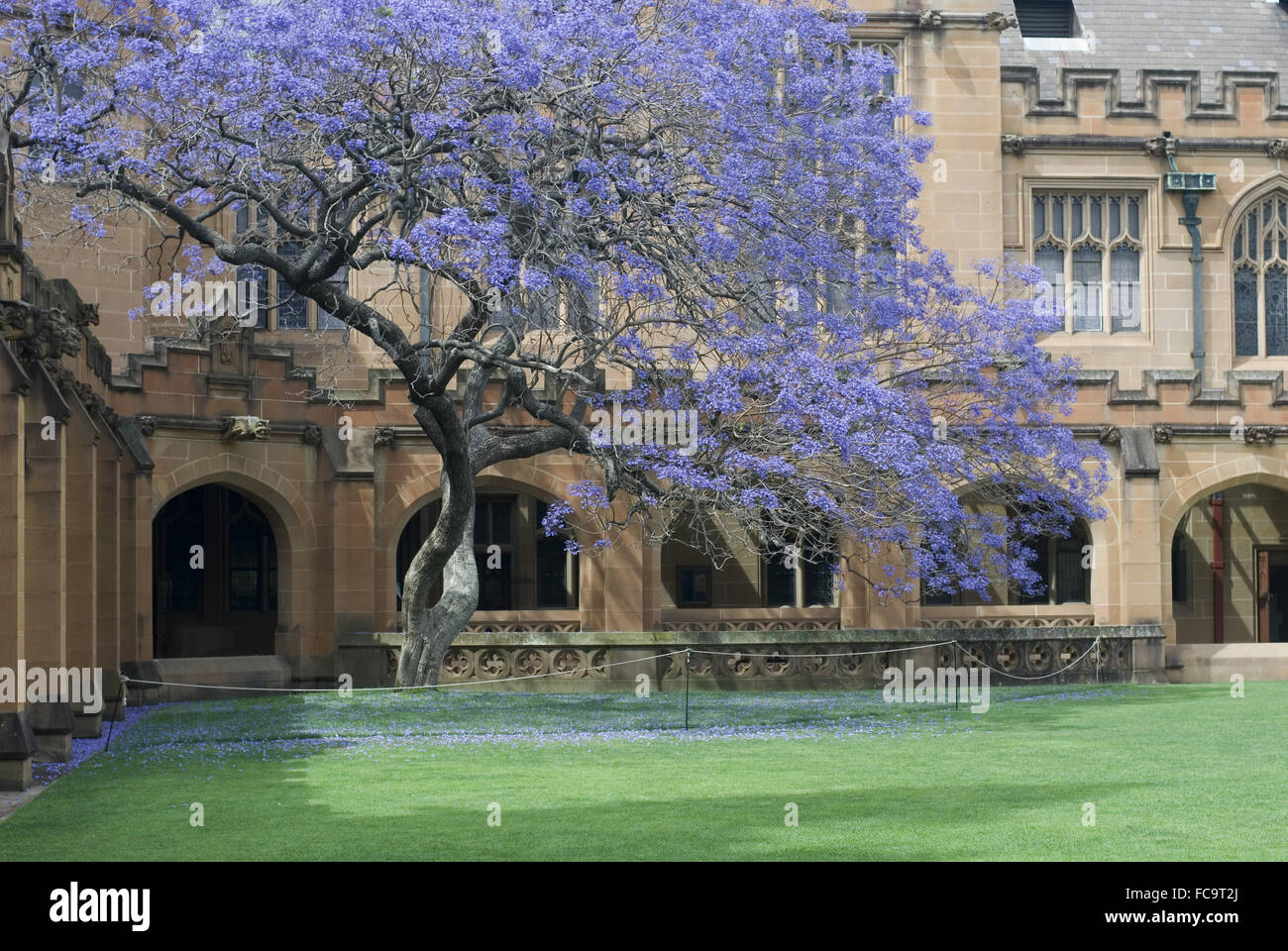 Sydney University Quadrangle Stock Photo - Alamy