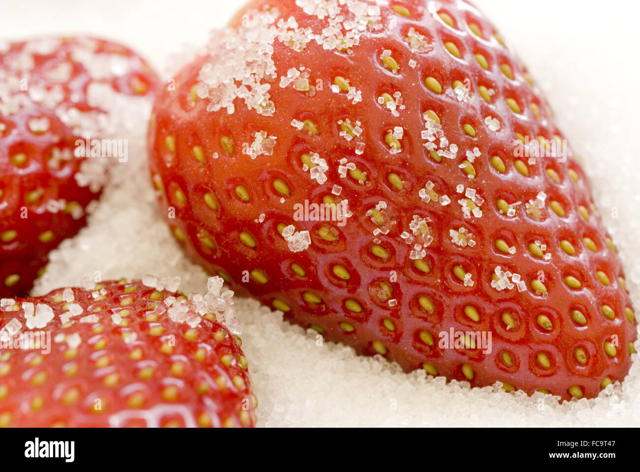 Sugared berry hi-res stock photography and images - Alamy