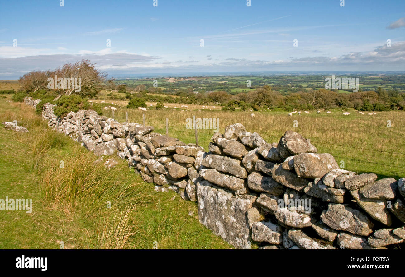 Attractive boundary wall on the eastern edge of Gidleigh Common ...
