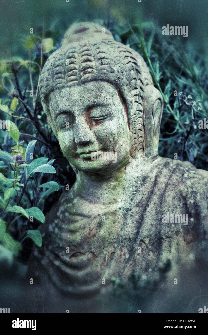 Budda hi-res stock photography and images - Alamy