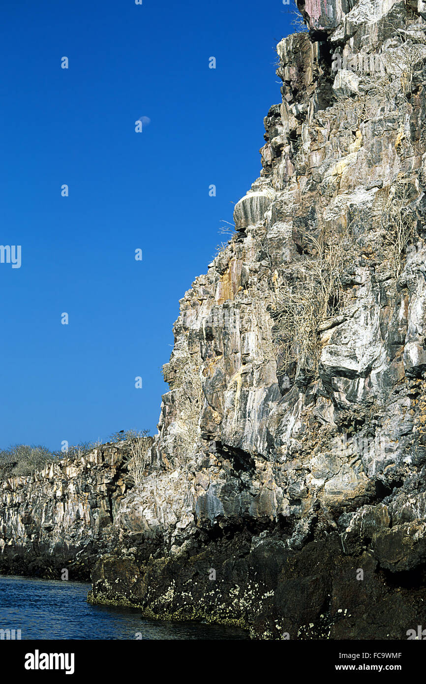 Tower island genovesa island hi-res stock photography and images - Alamy