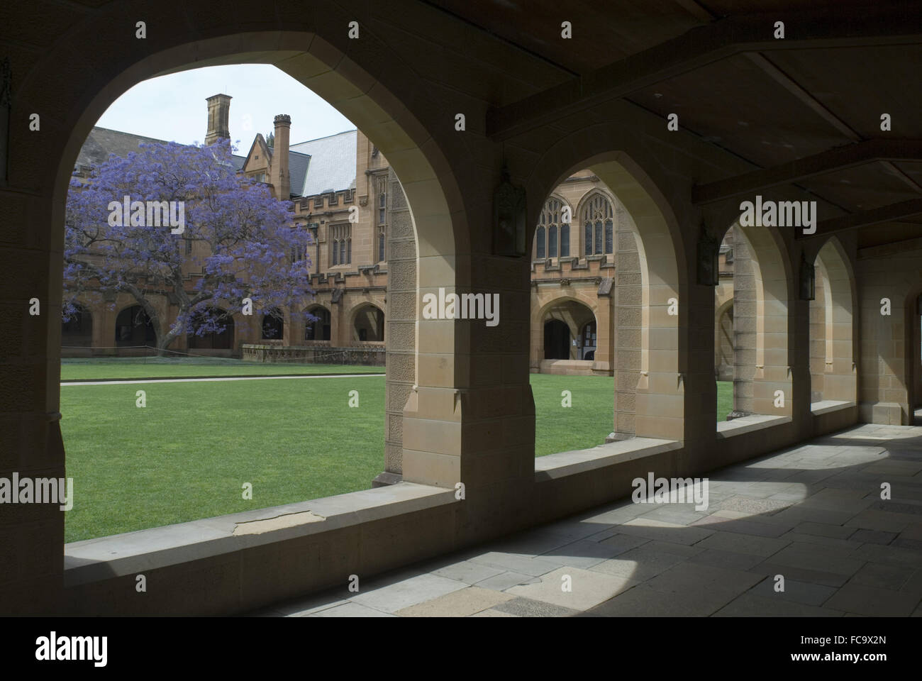 Sydney university quadrangle australia hi-res stock photography and ...