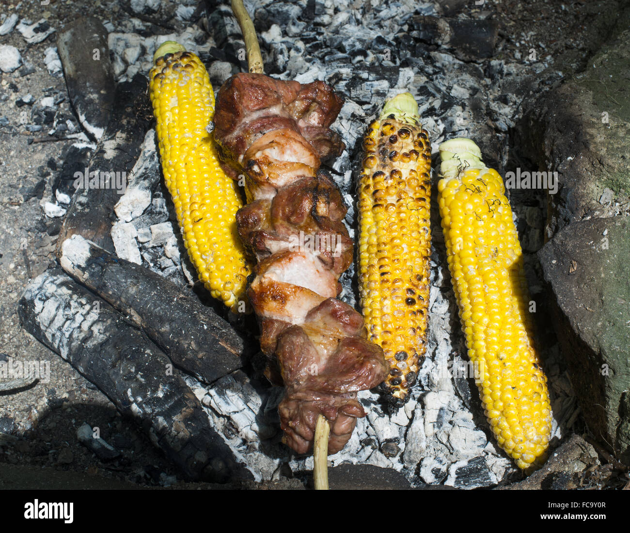 Barbecue in nature Stock Photo - Alamy