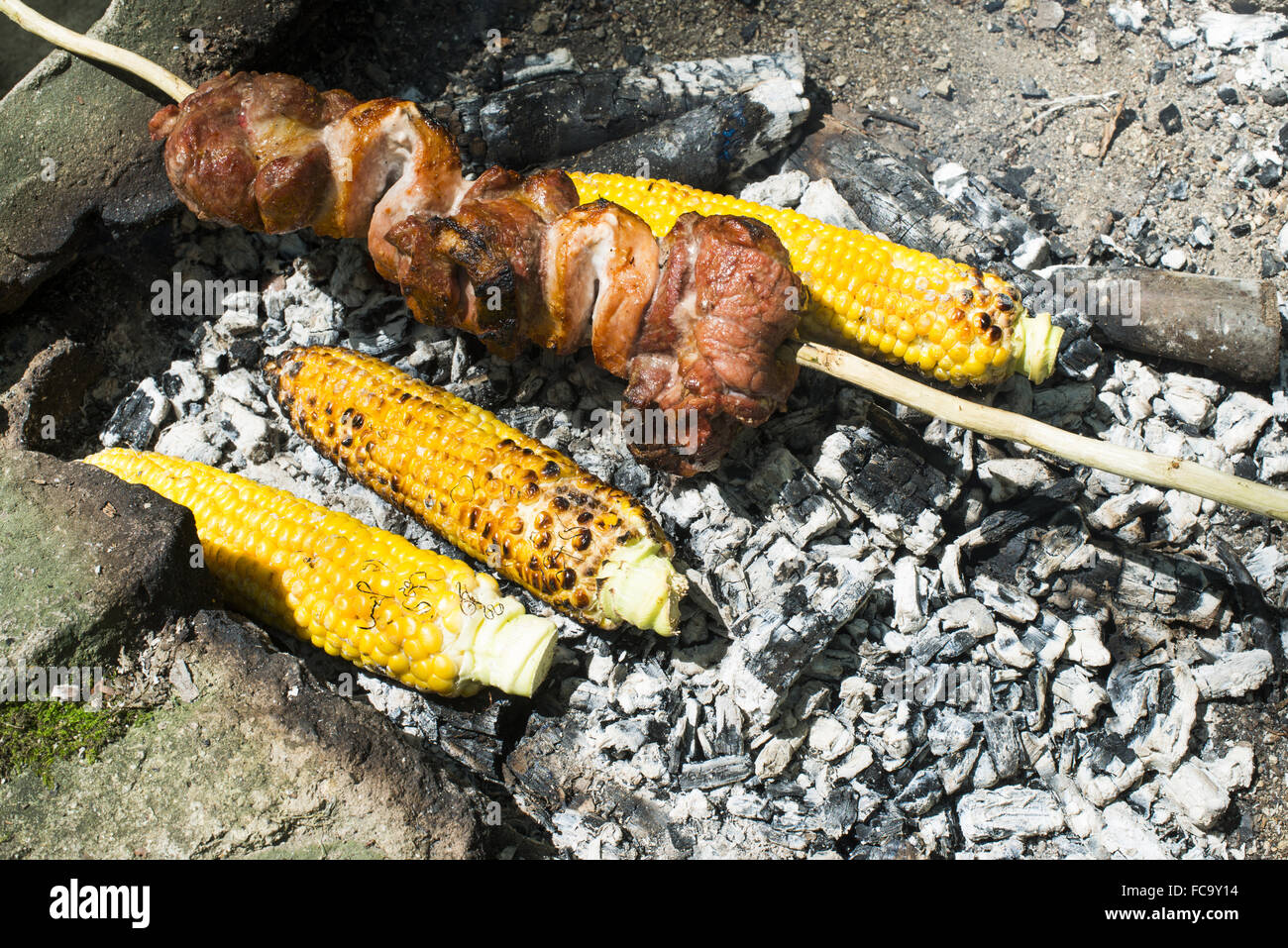 Barbecue in nature Stock Photo - Alamy