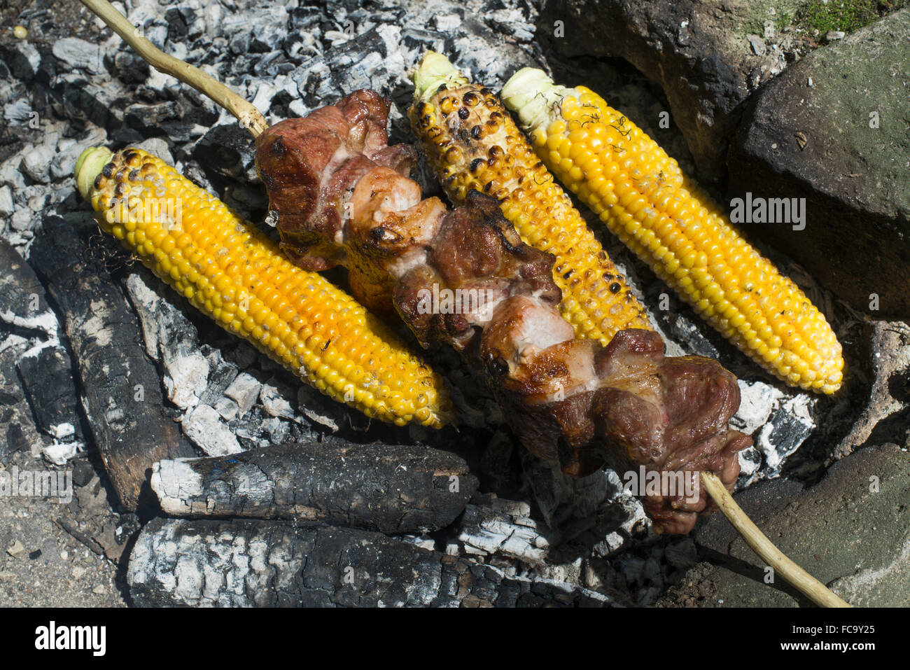 Barbecue in nature Stock Photo - Alamy