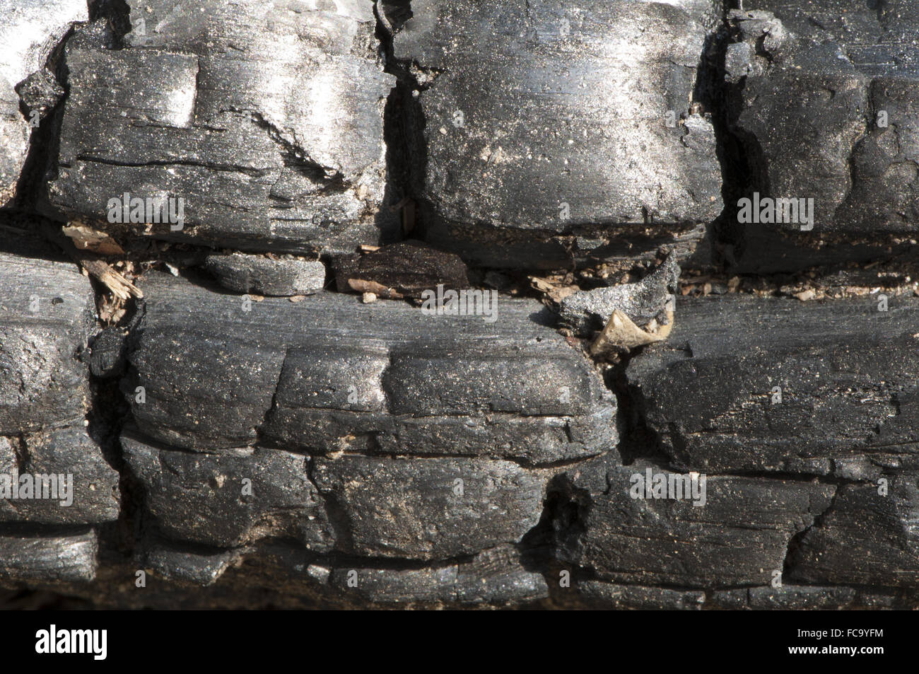 Close up coal Stock Photo - Alamy