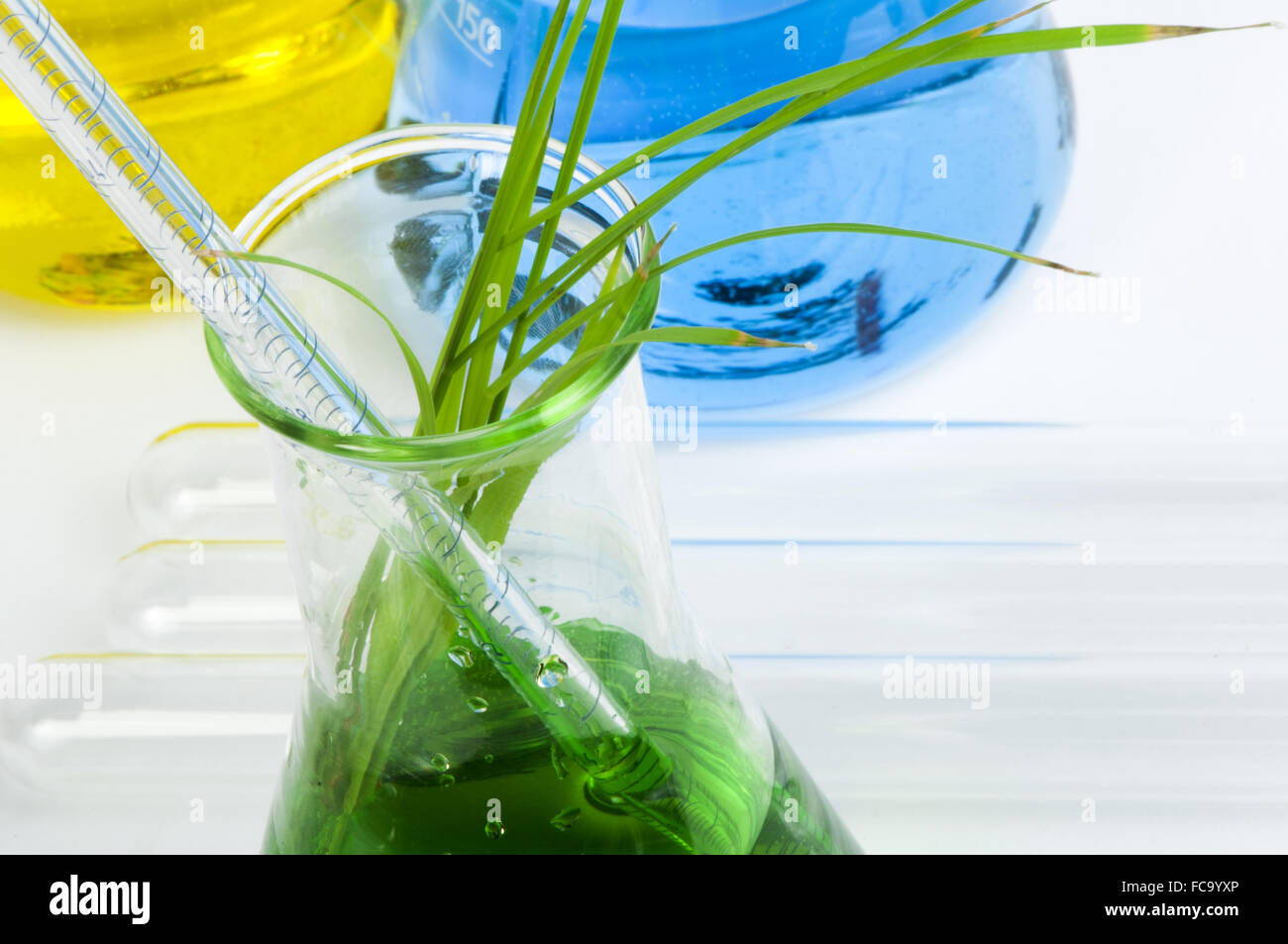Plants laboratory dna hi-res stock photography and images - Alamy