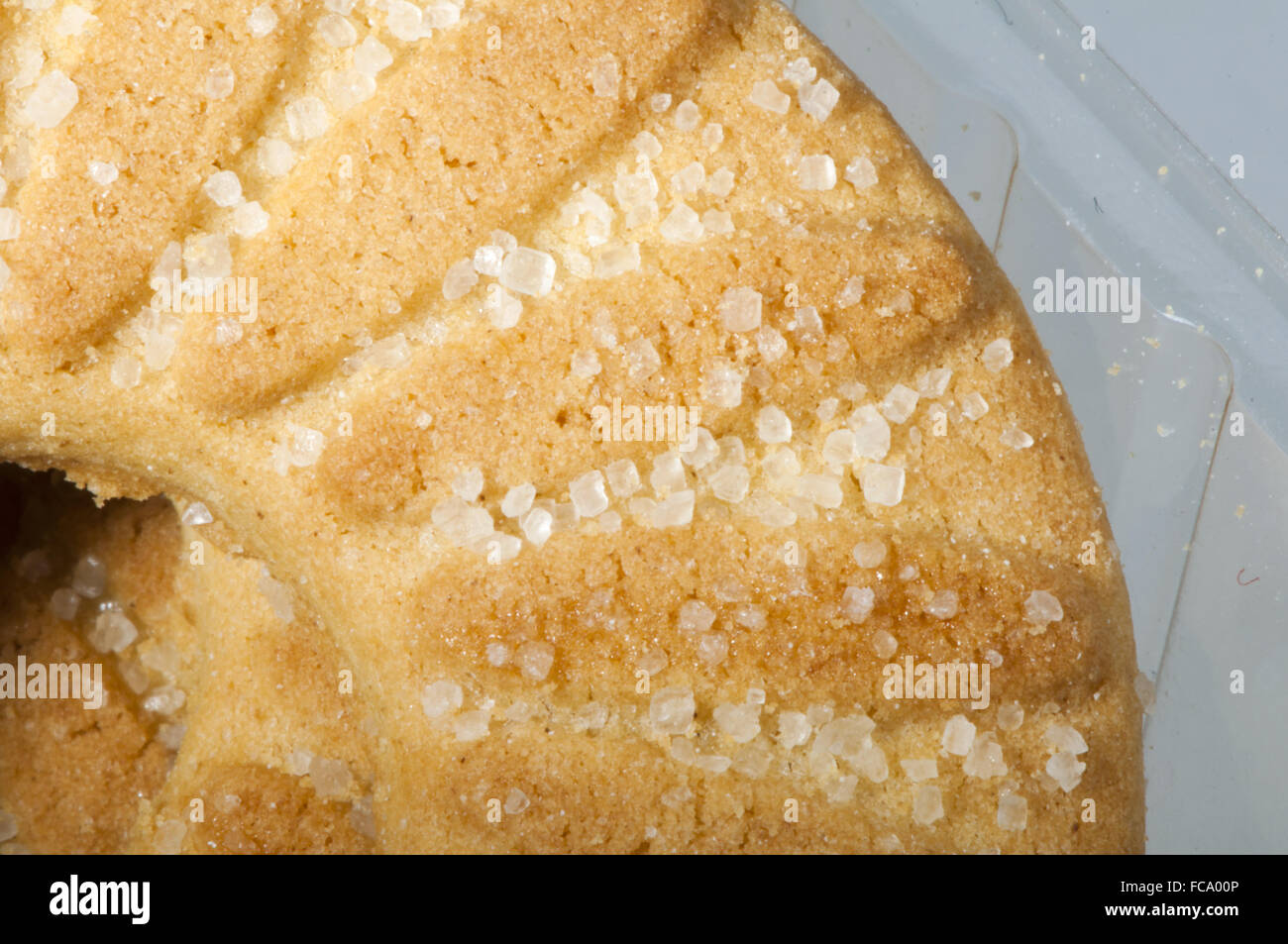 One Biscuit close up Stock Photo - Alamy