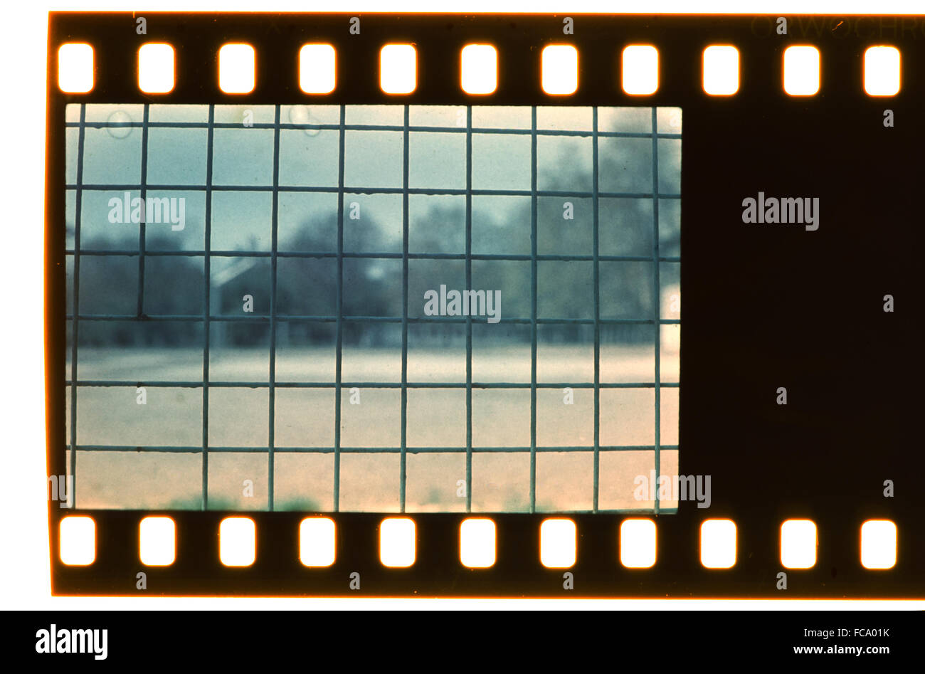 Photo film grid hi-res stock photography and images - Alamy
