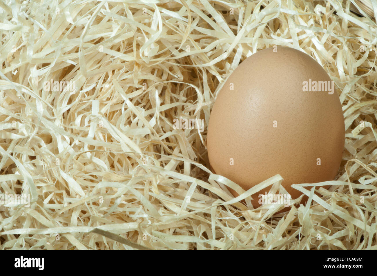 Raw eggs in straw Stock Photo - Alamy