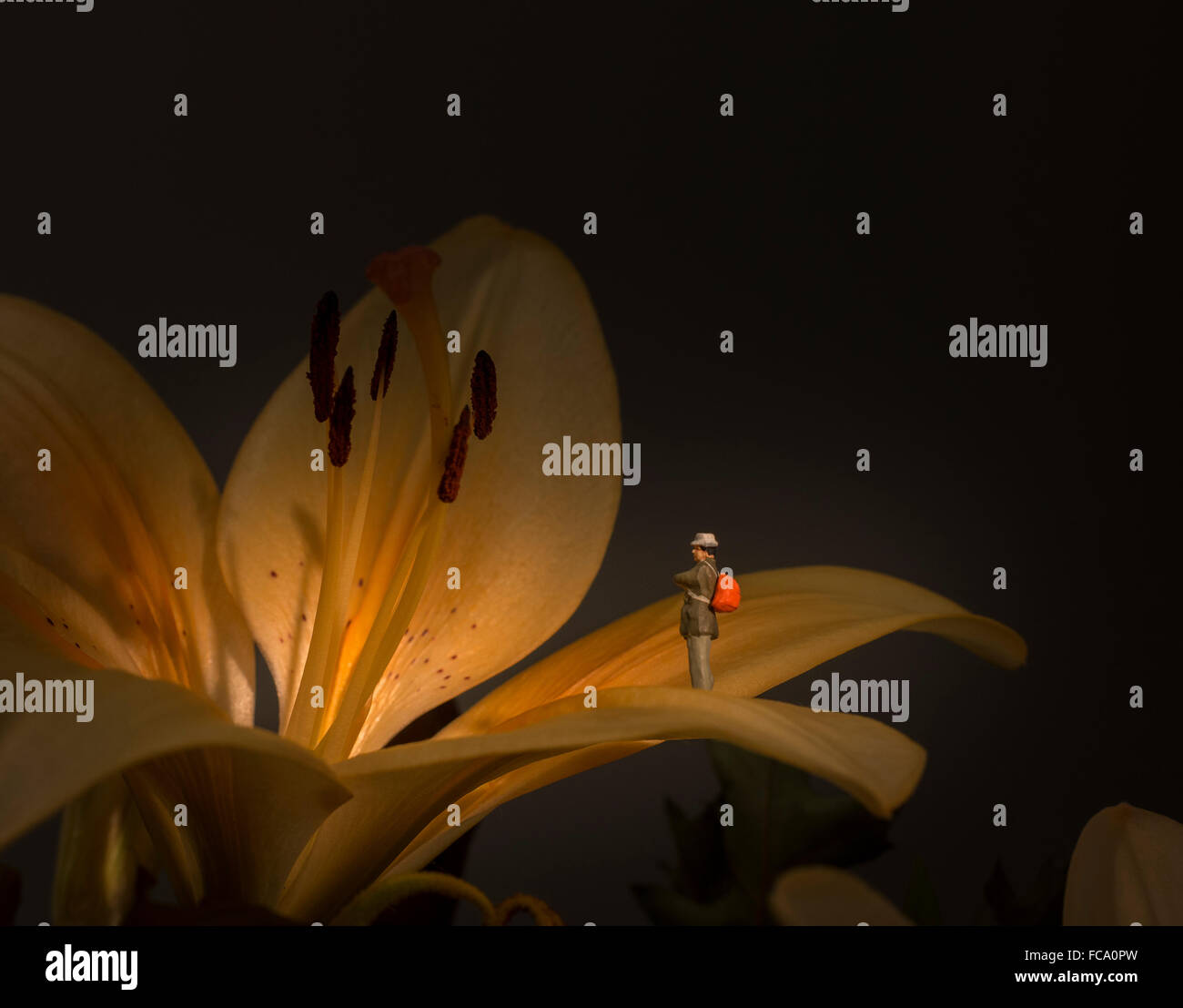 Flower Exposition by little people man Stock Photo - Alamy